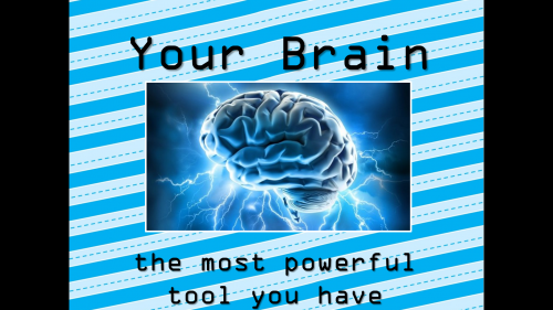 Your Brain – REVELATIONS IN EDUCATION