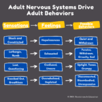 Templates and Lessons – REVELATIONS IN EDUCATION