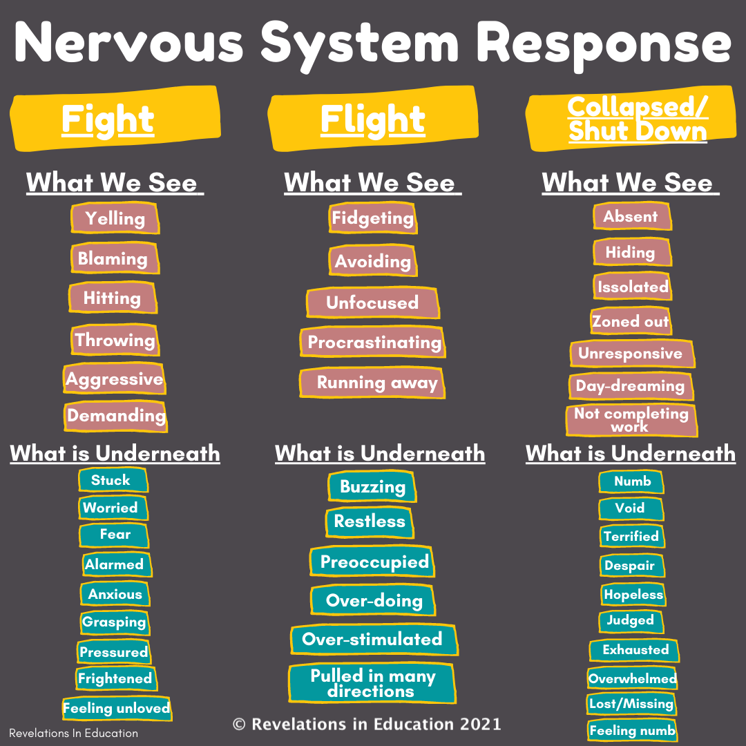 REVELATIONS IN EDUCATION – Lori Desautels, Ph.D