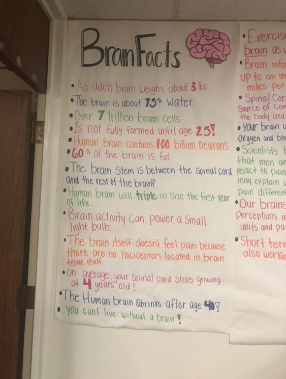 180days_example of brain anchor chart – REVELATIONS IN EDUCATION