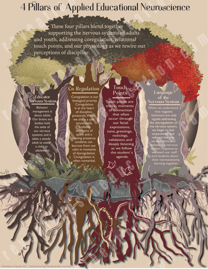 4 PILLARS of Applied Educational Neuroscience-DIGITAL POSTER ...