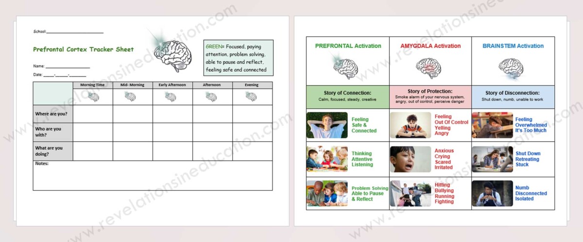 NEW ADDITIONS for 180 days of Applied Educational Neuroscience ...